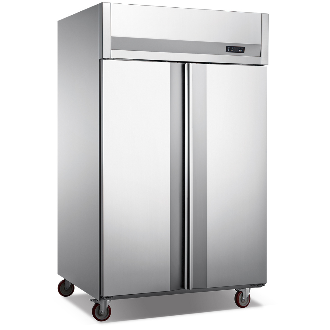Double Door Upright Chillers - Efficient, High-Capacity Cooling – DS ...