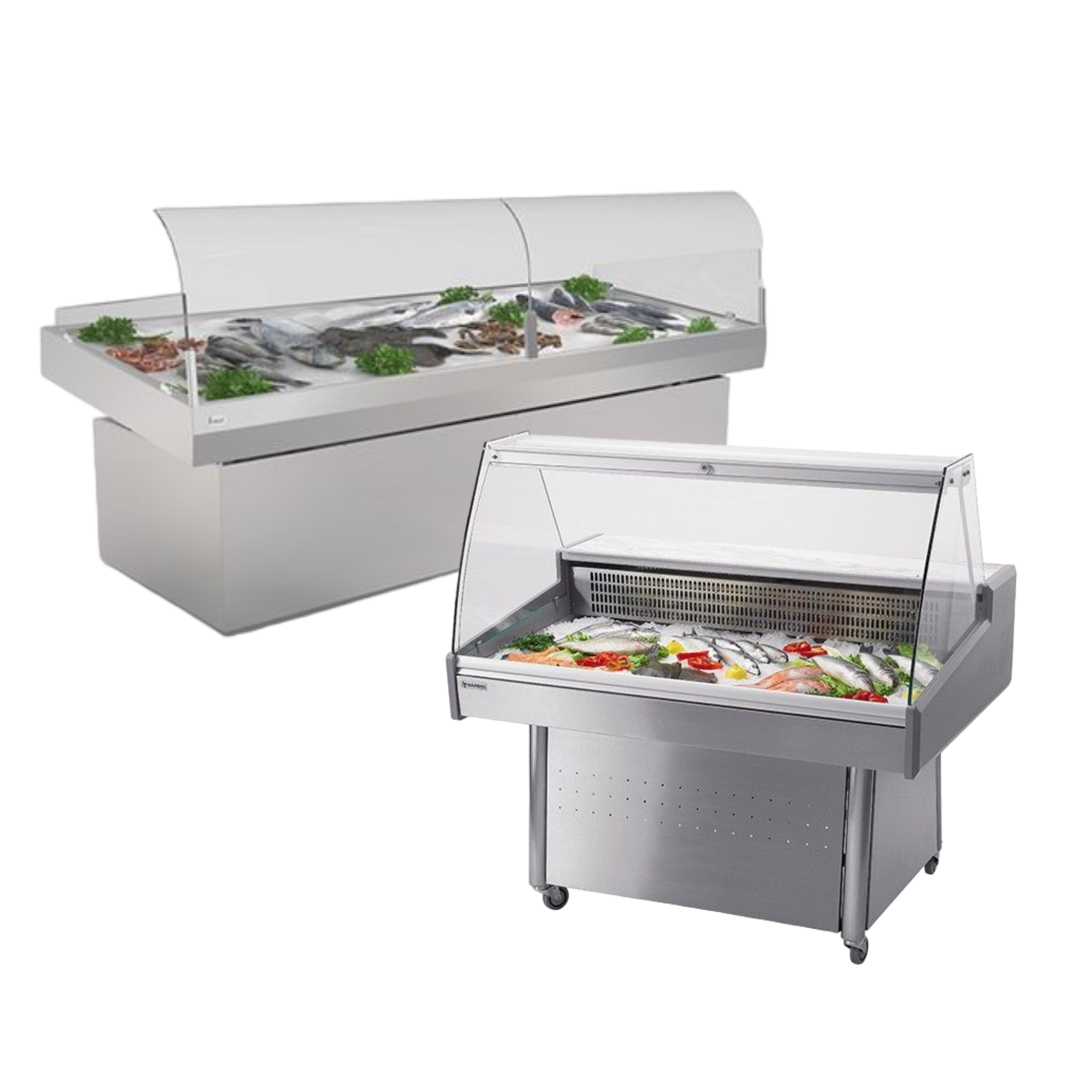 Meat & Fish Display - Fresh and Appealing Presentations – DS Refrigeration